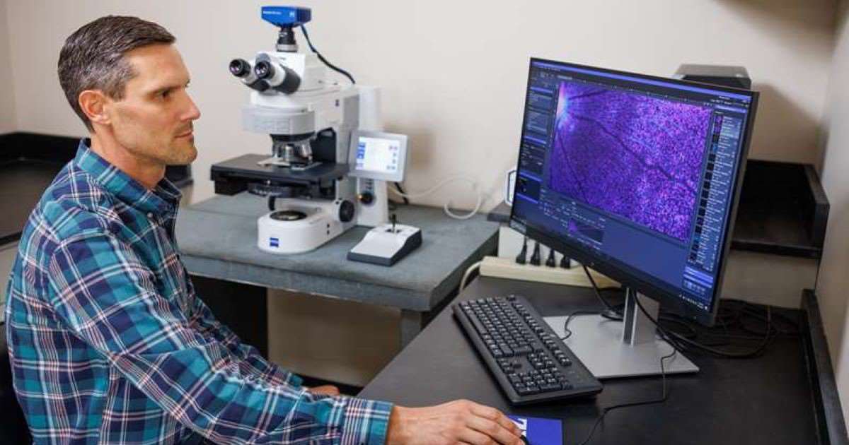 Preventing Blindness by Untangling the Genetic Network of Vision ...