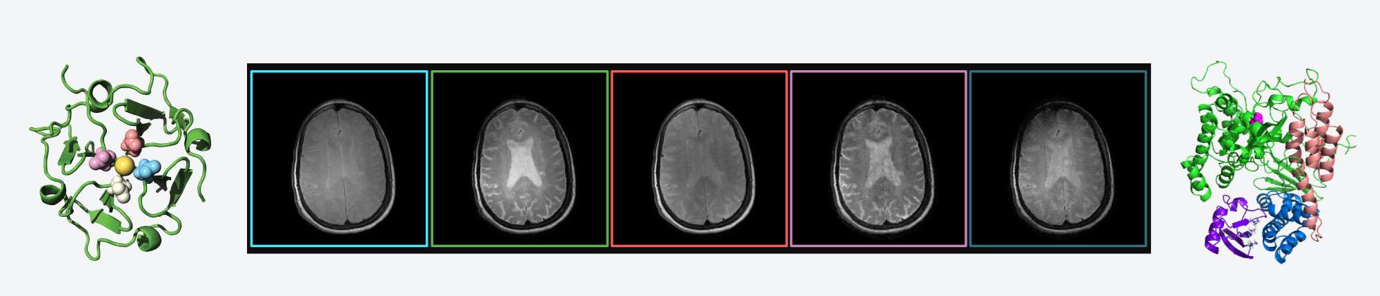 Francesca M. Marassi, PhD |Professor, Chair, & Eminent Scholar ...