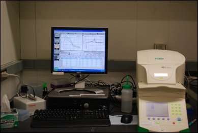 Research | Microbiology & Immunology | Medical College of Wisconsin