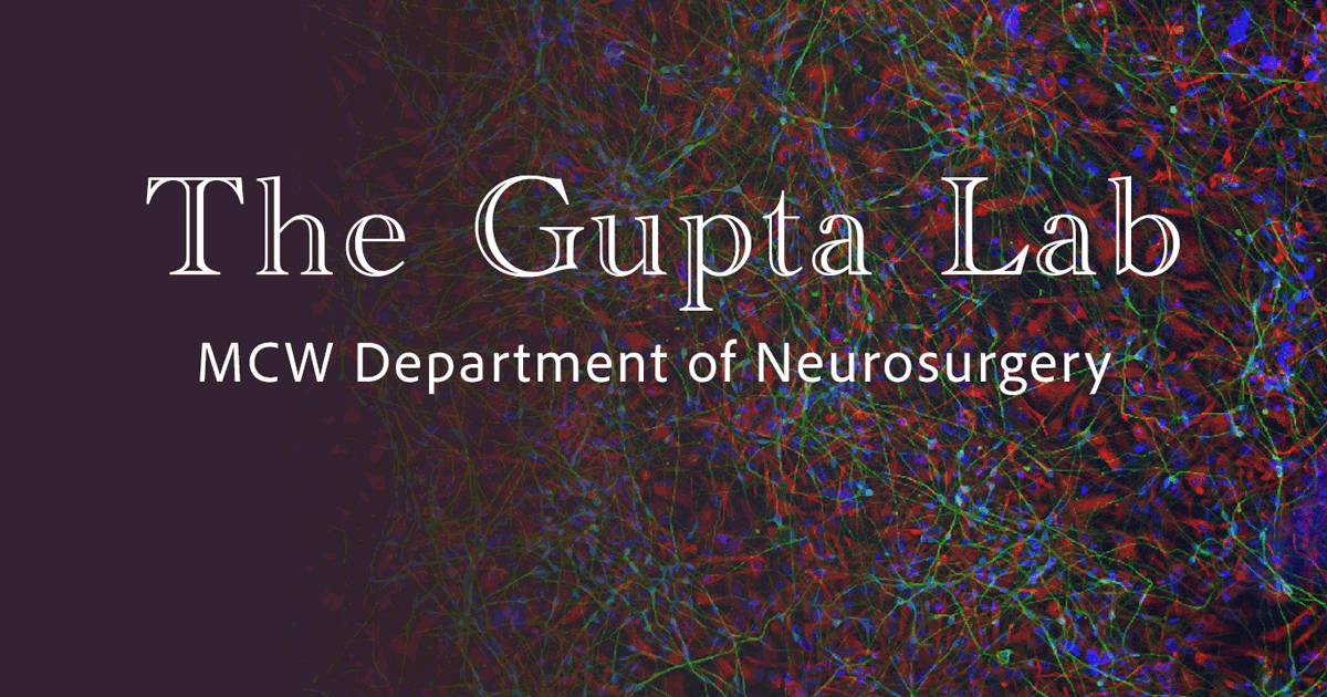 Gupta Laboratory | Medical College of Wisconsin