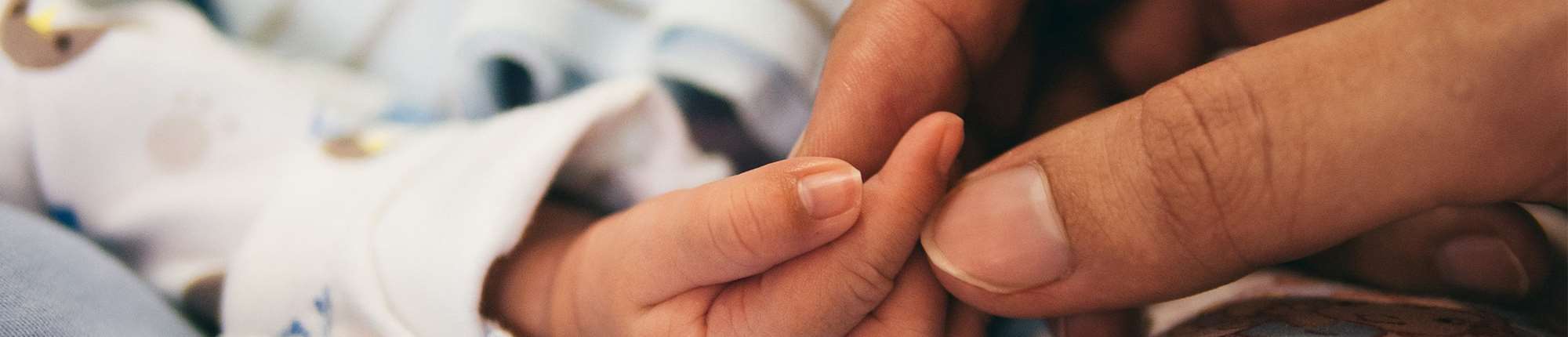 Neonatal-Perinatal Fellowship Program| Pediatrics | Medical College of ...