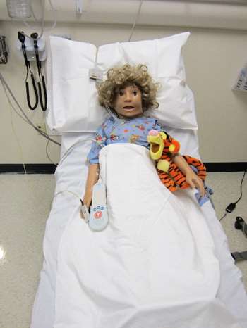 Resources | STAR Center | Medical College of Wisconsin