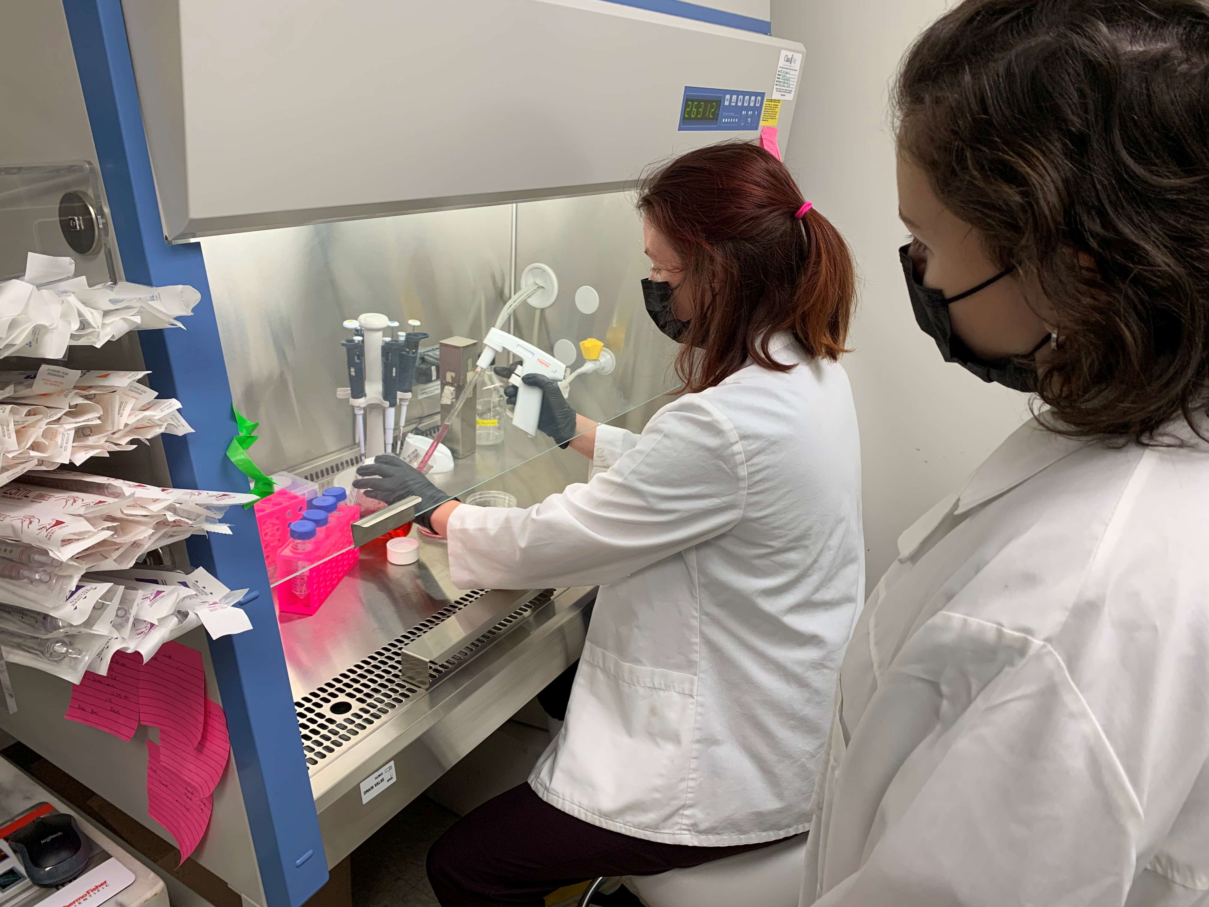 Health Science and Medical Career Pathways | Medical College of Wisconsin