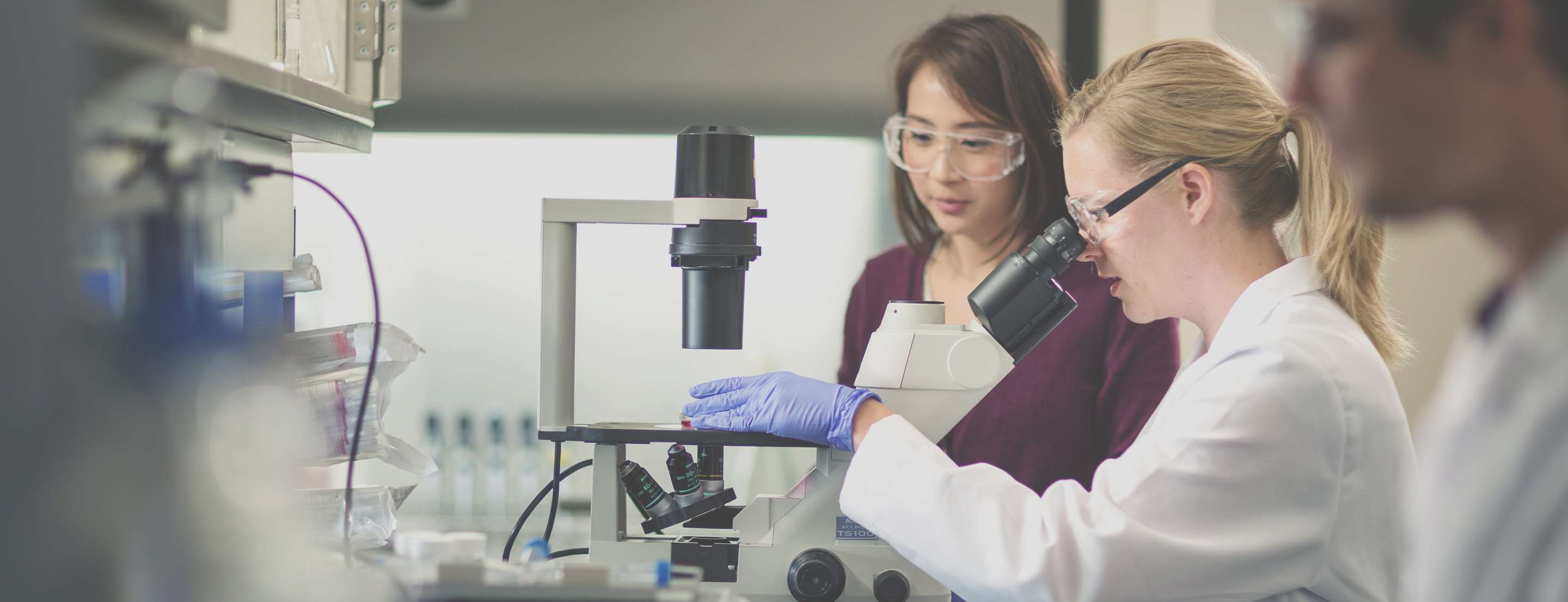 Graduate School | Education | Medical College of Wisconsin