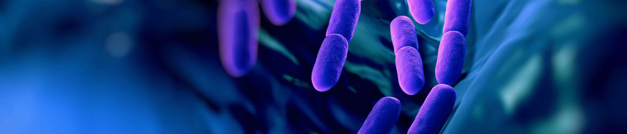 Gnotobiotic Core Facility | Center for Microbiome Research | Medical ...