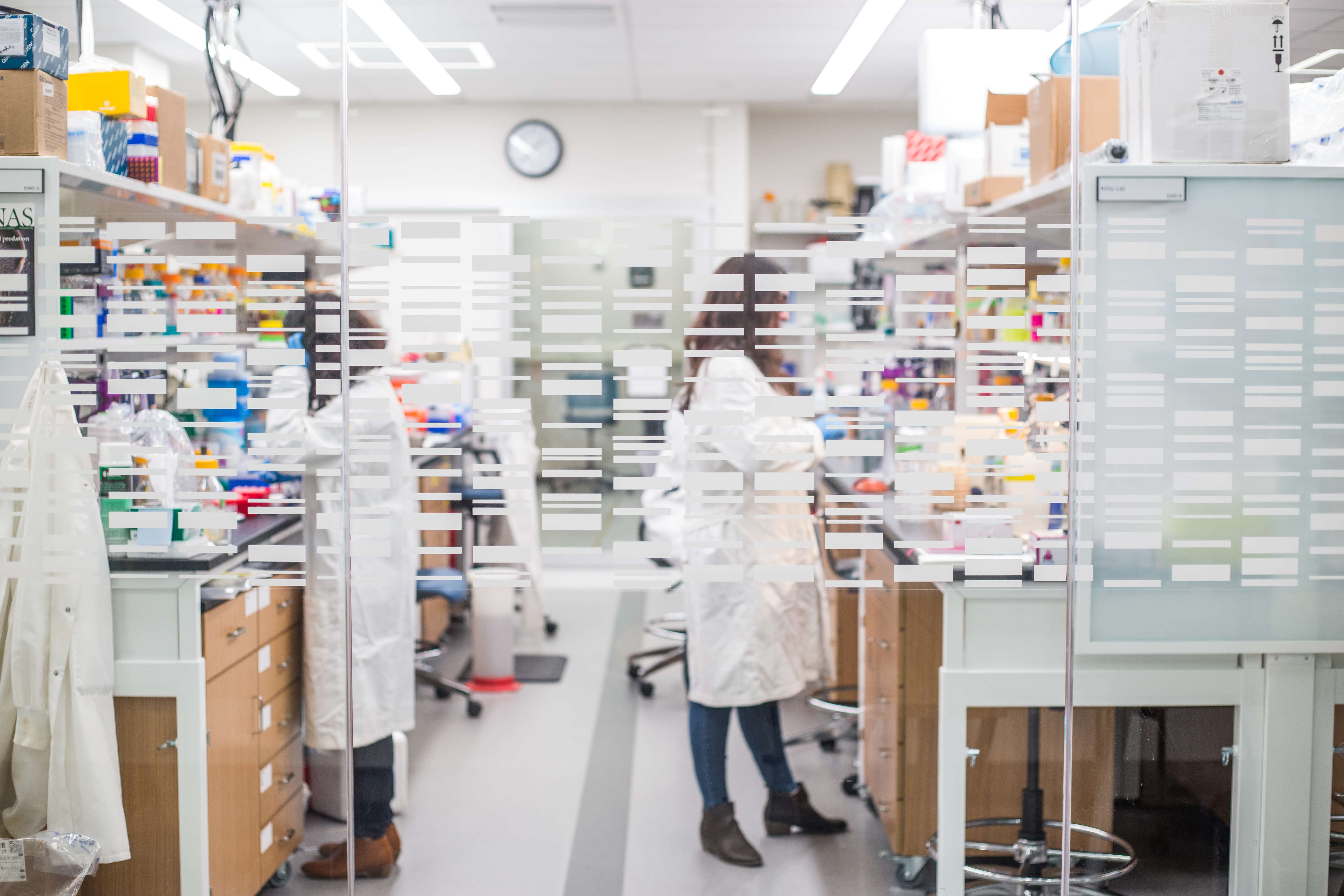 Microbiology & Immunology | Medical College of Wisconsin