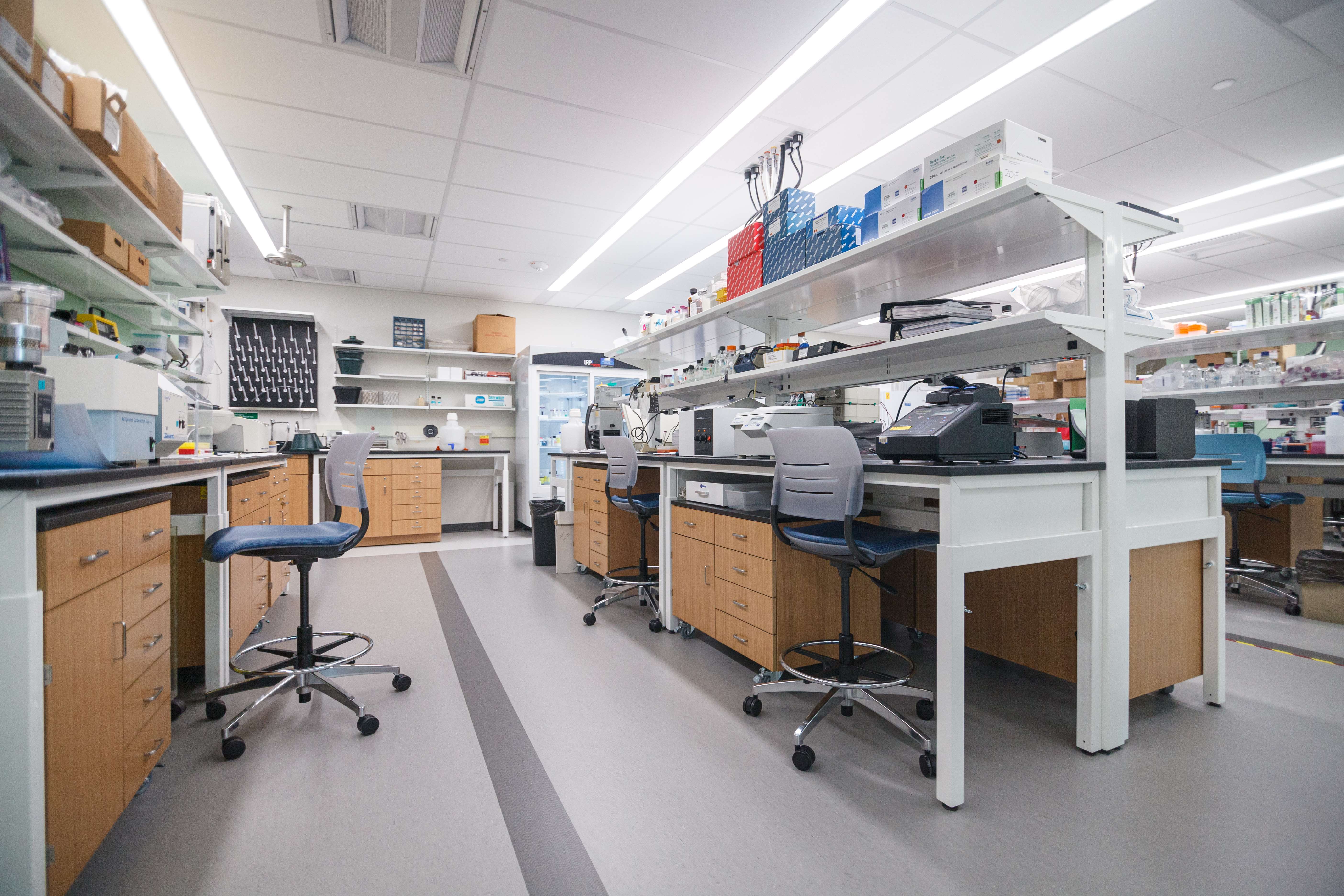 Research | Microbiology & Immunology | Medical College of Wisconsin