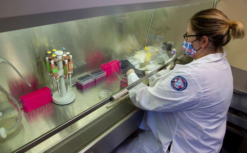 Molecular Biology Facilities | ZVAMC Labs | Medical College of Wisconsin