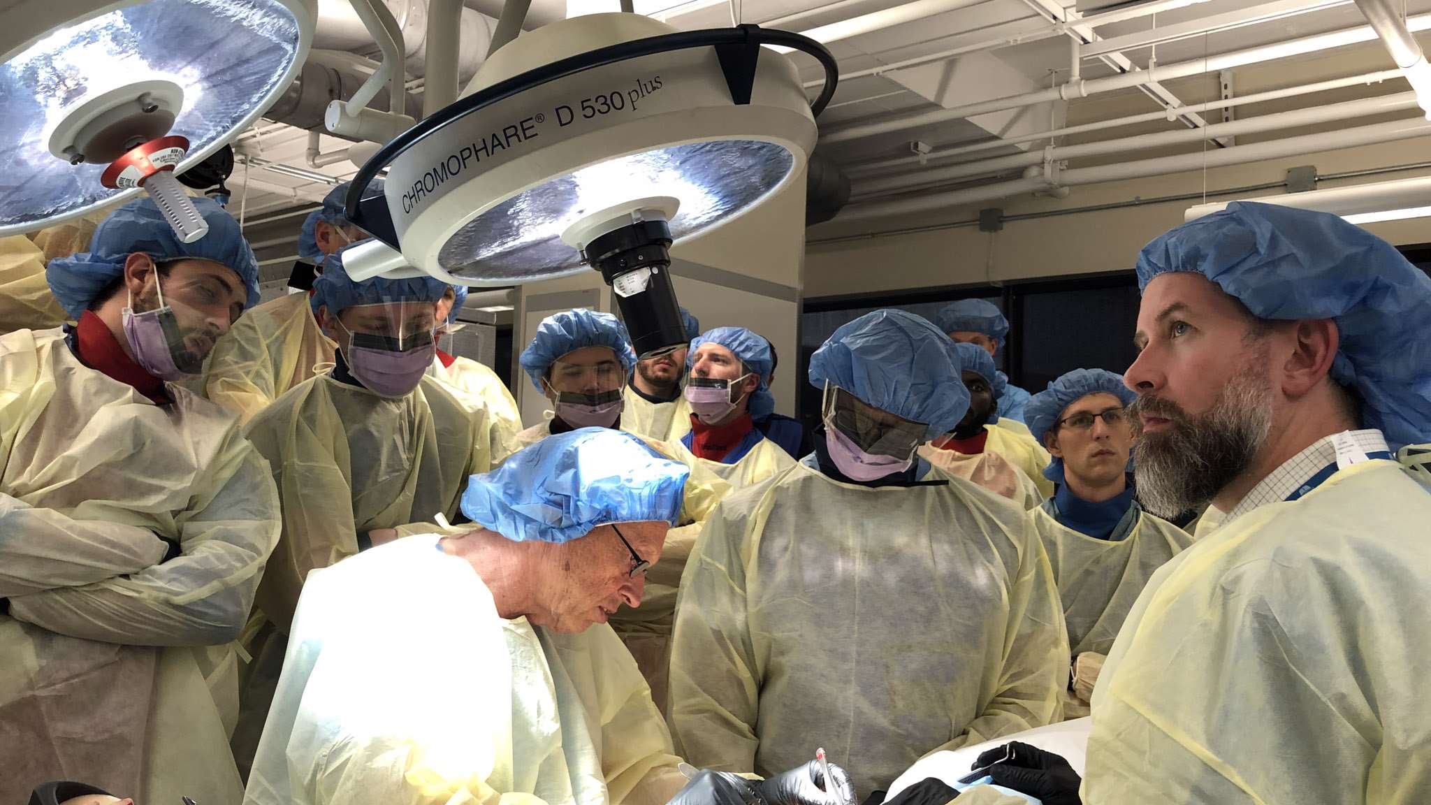 Observers and Shadowers | Medical College of Wisconsin