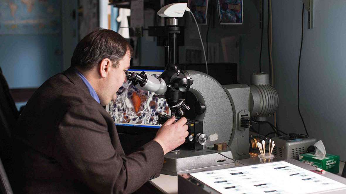 Biomaterials and Histology Lab | Medical College of Wisconsin