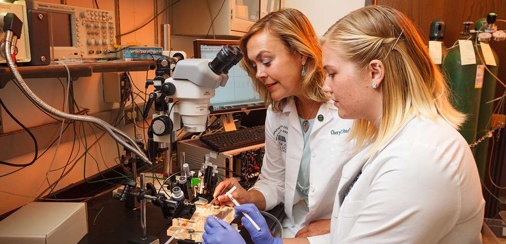 Neuroscience PhD (NDP) | Graduate School Programs | Medical College of ...