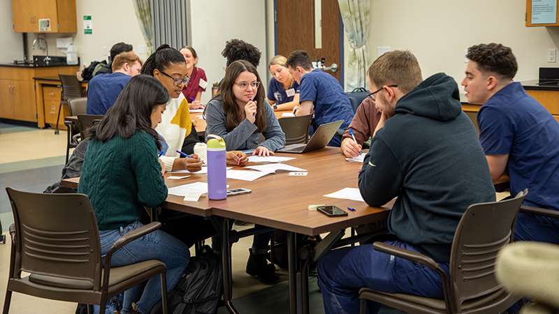 Doctoring Threads | Medical School MCWfusion Curriculum | Medical ...